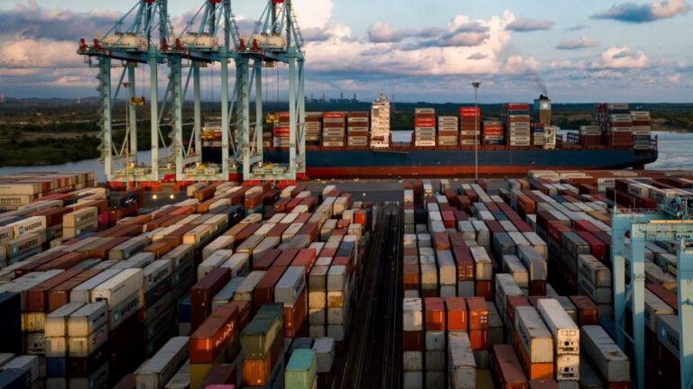 Recaudación en aduanas se contrae 6.6% en 2024: ANAM - Construnoticias